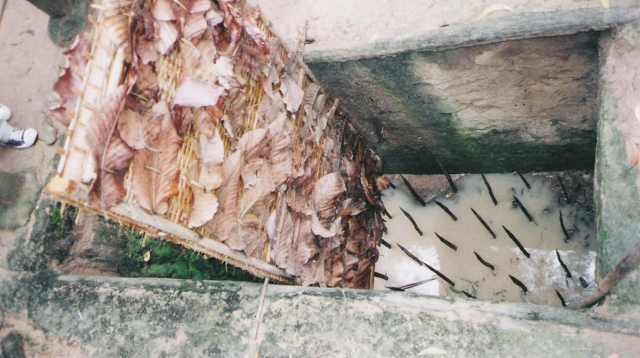 PCAFC–EVERYTHING YOU NEED TO KNOW | Veterans Claims Help